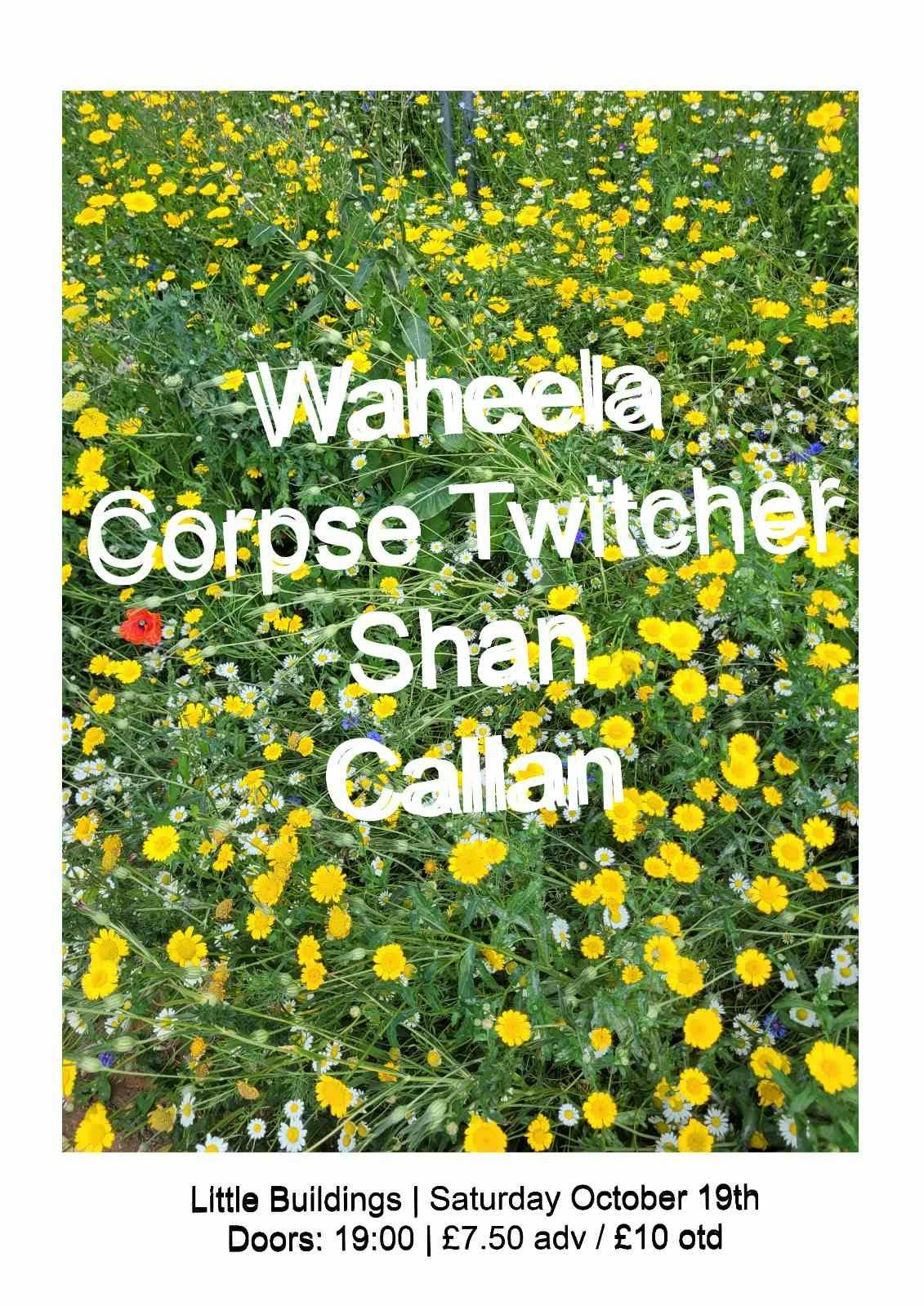 Waheela//Corpse Twitcher//Shan//DJ Callan at Little Buildings ...