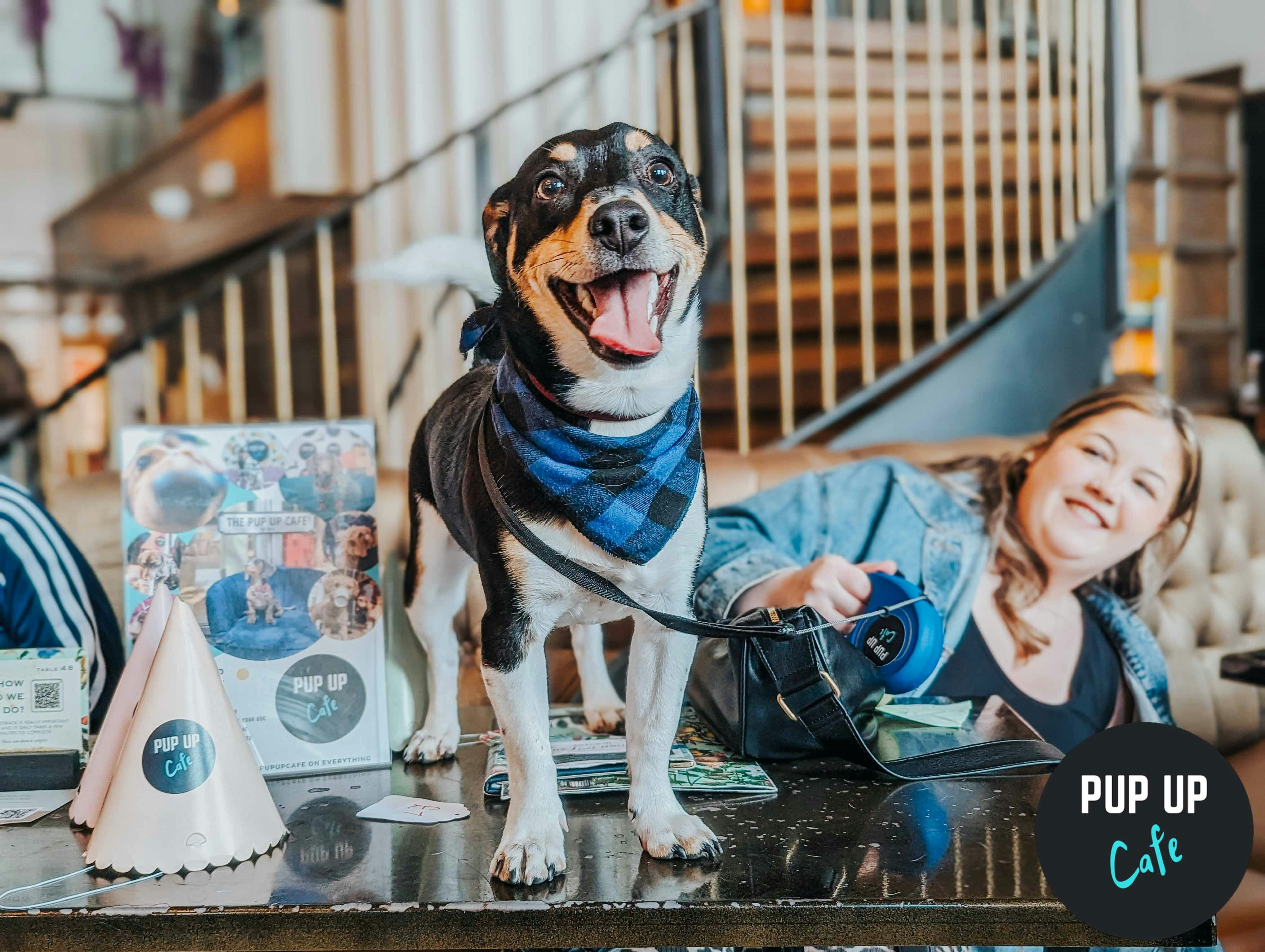 Pup Up Cafe | All Events