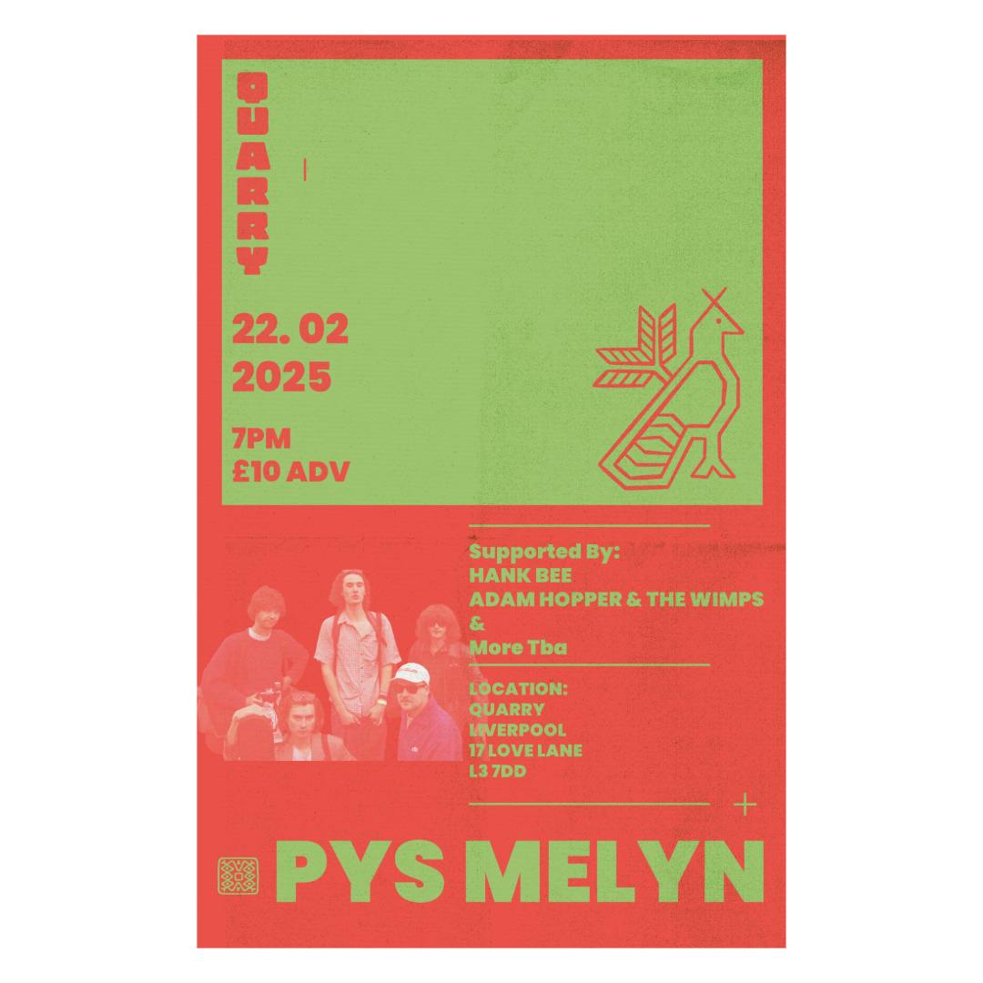 Pys Melyn w/ Hank Bee, Adam Hopper & The Wimps + The Hermit at QUARRY ...