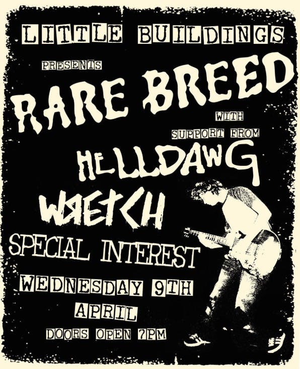 Rare Breed//Helldawg//Wretch at Little Buildings, Newcastle upon Tyne ...