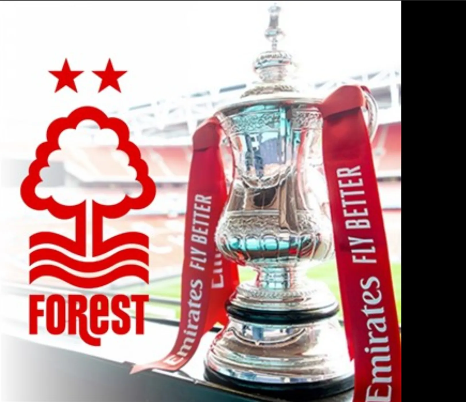 NOTTINGHAM FOREST FAN ZONE , FA SEMI FINAL at Stadium Sports Bar ...