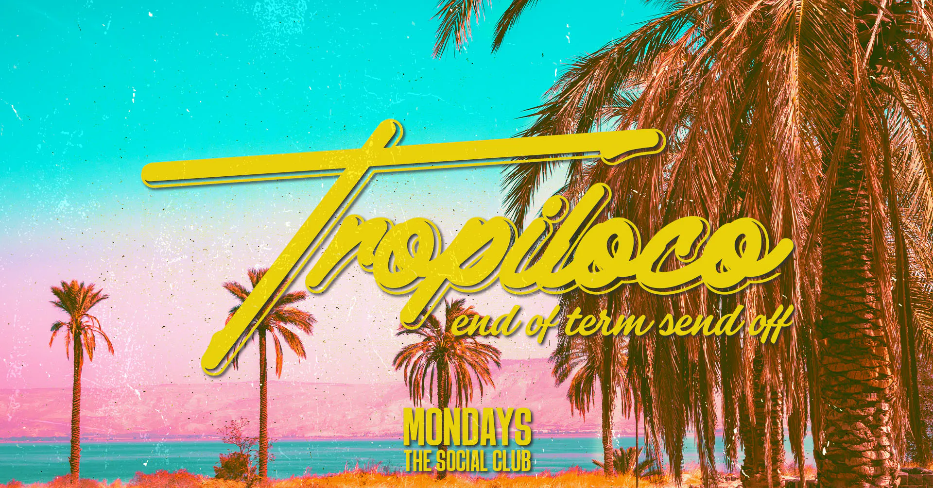 🪩🌴 TROPILOCO MONDAYS 🌴🪩 FINAL 100! // LAST TROP OF TERM! // 2ND JUNE ...