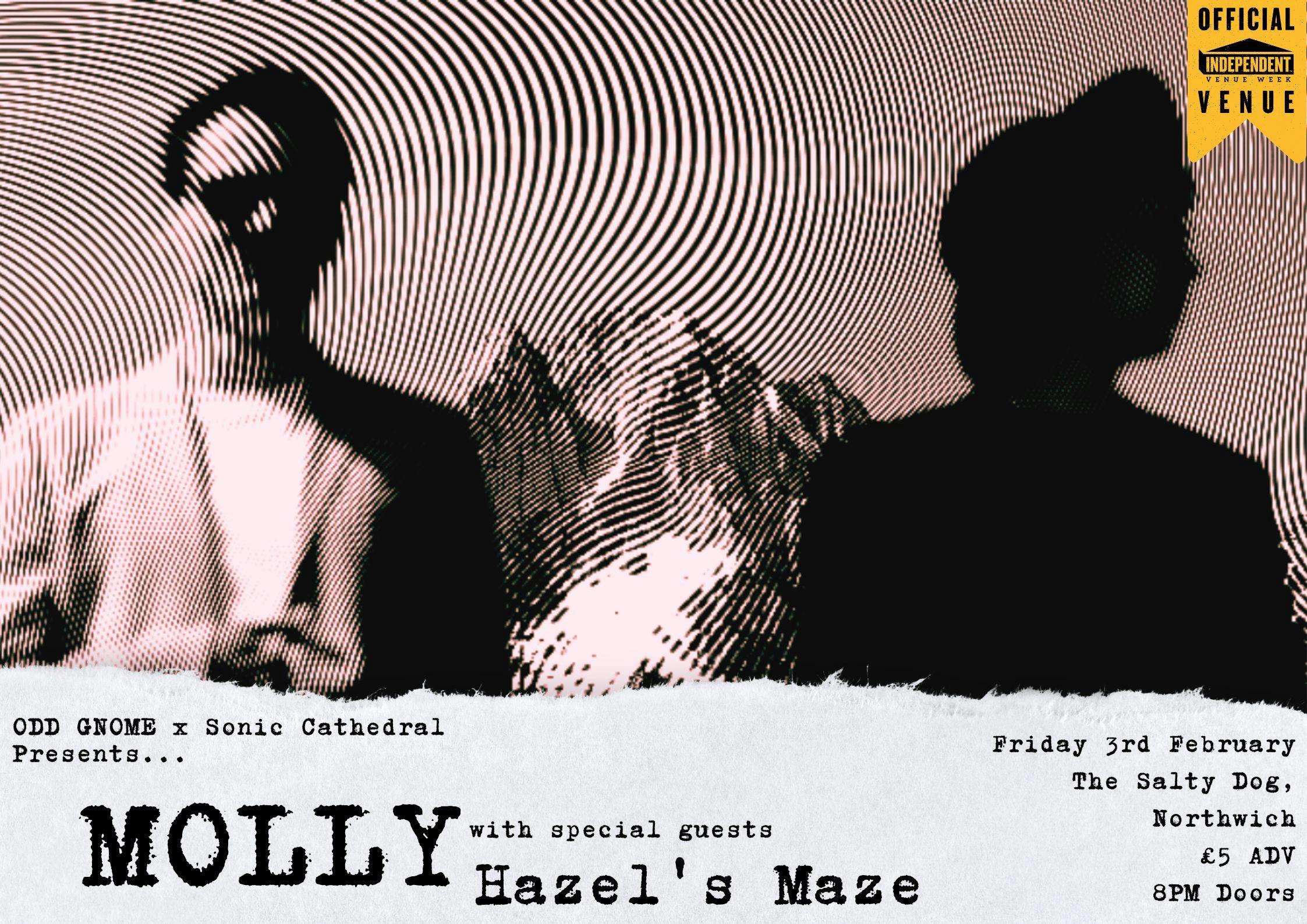 IVW 2023 - MOLLY & Hazel's Maze at The Salty Dog, Northwich on 3rd Feb ...